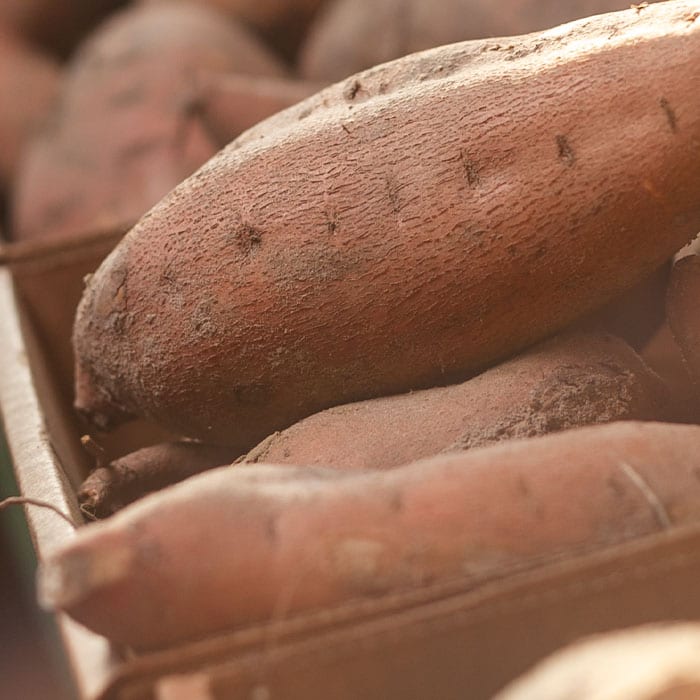 Fresh Sweet Potatoes | Black's Peaches in York, SC