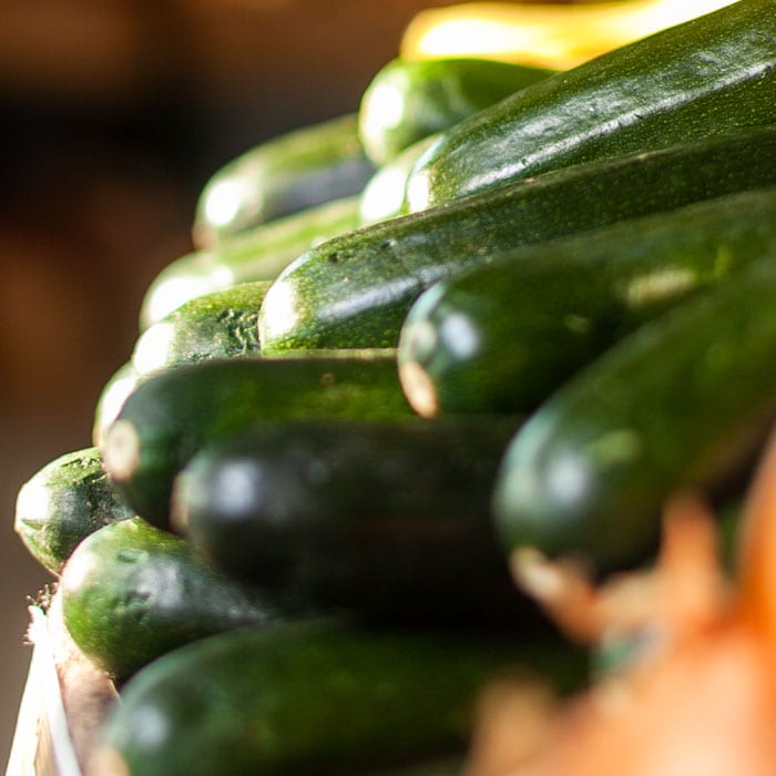 Zucchini | Black's Peaches in York, SC